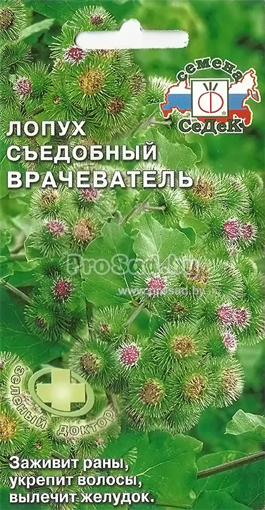Купить семена Лопуха съедобного Врачеватель в интернет-магазине Просад ...