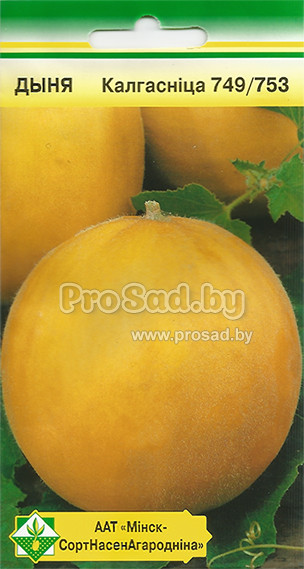 Купить семена Дыни Колхозница 749/753 почтой по Беларуси в Минске в ...
