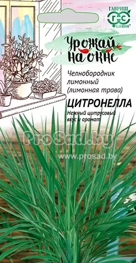 Купить семена Лемонграсса Цитронелла почтой по Беларуси в Минске в ...