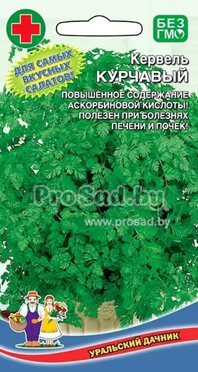 Купить семена Кервель листовой Курчавый почтой по Беларуси в Минске в ...