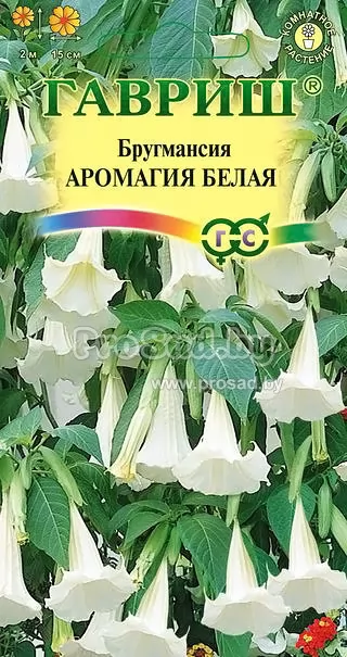 Купить семена Бругмансии почтой по Беларуси в интернет-магазине семян ...